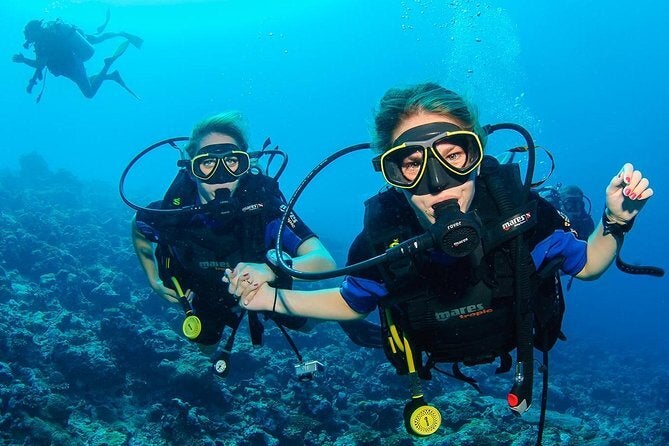 Scuba Diver Course in Los Angeles | In2Deep Diving | In 2 Deep Diving Inc.