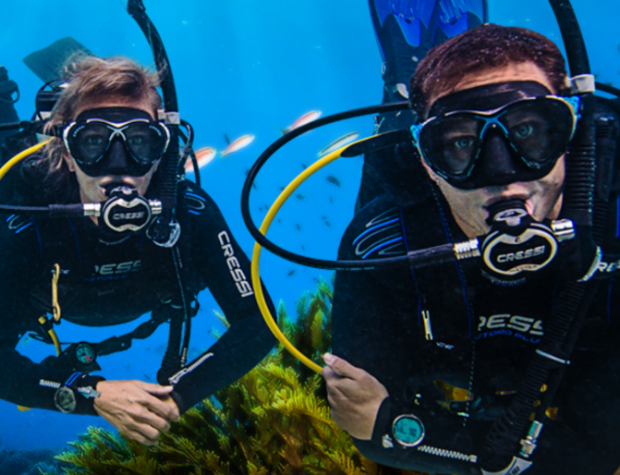 Learn to Dive with PADI-Certified Courses, In2Deep Diving Los Angeles! | In 2 Deep Diving Inc.